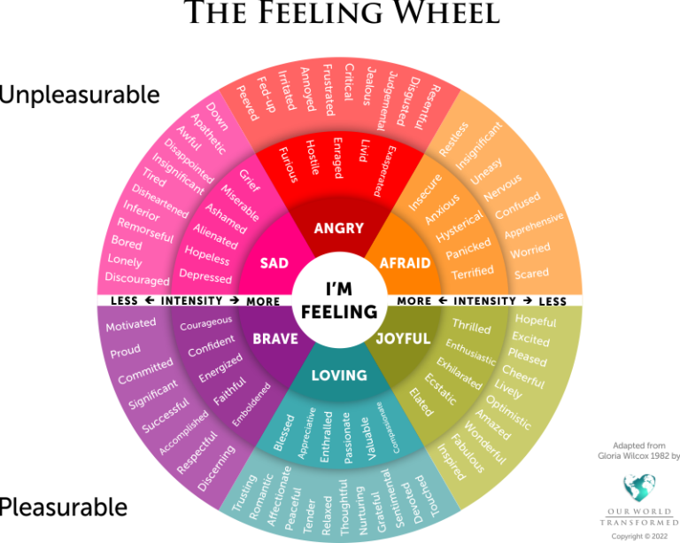 The Feeling Wheel